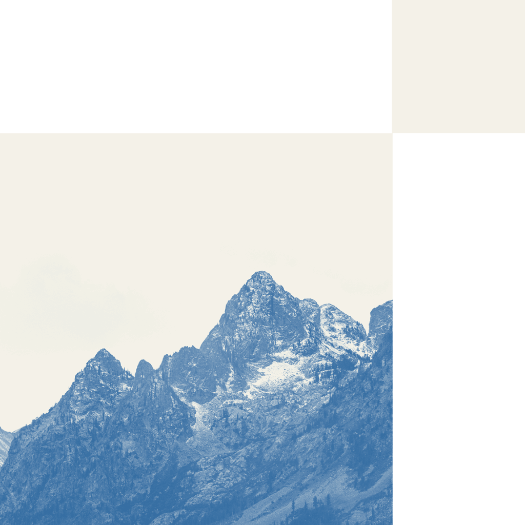 Rise Growth Partners